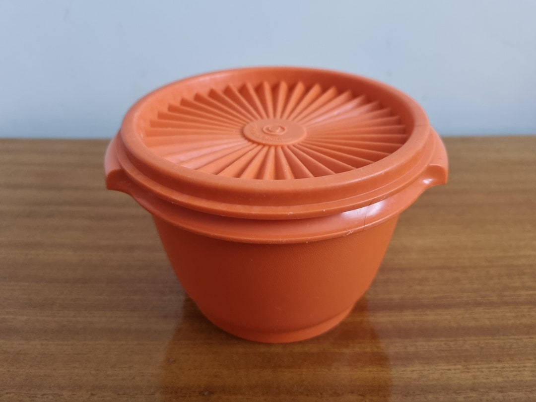 Small Orange Lidded Tupperware Tub - Etsy