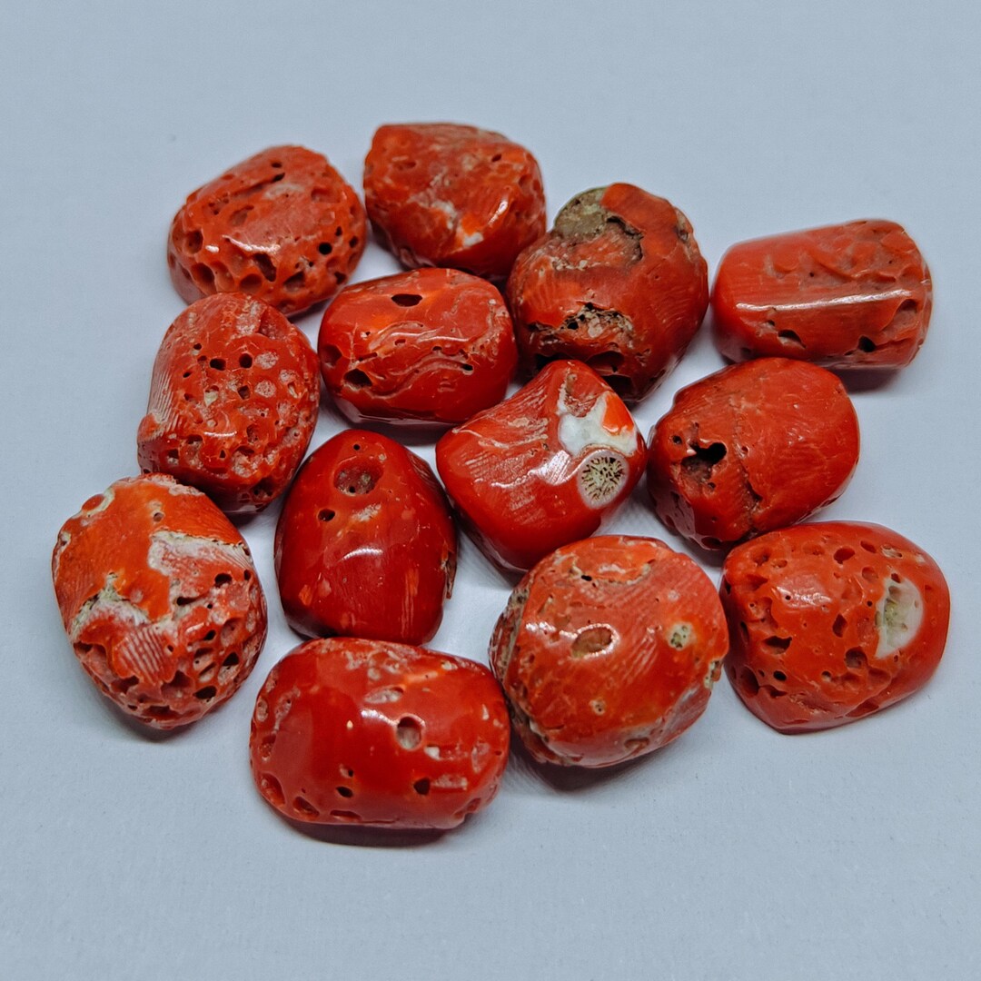 Mediterranean Red Coral Oval Vintage Italian Gemstone Cabochon for ...