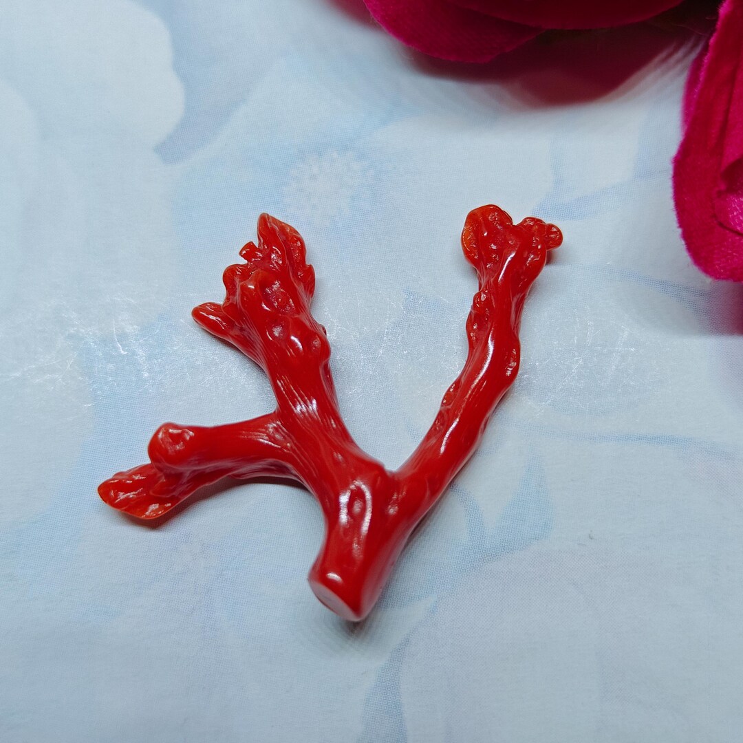 Mediterranean Red Coral Polished Branch : Natural Italian Coral Stick ...