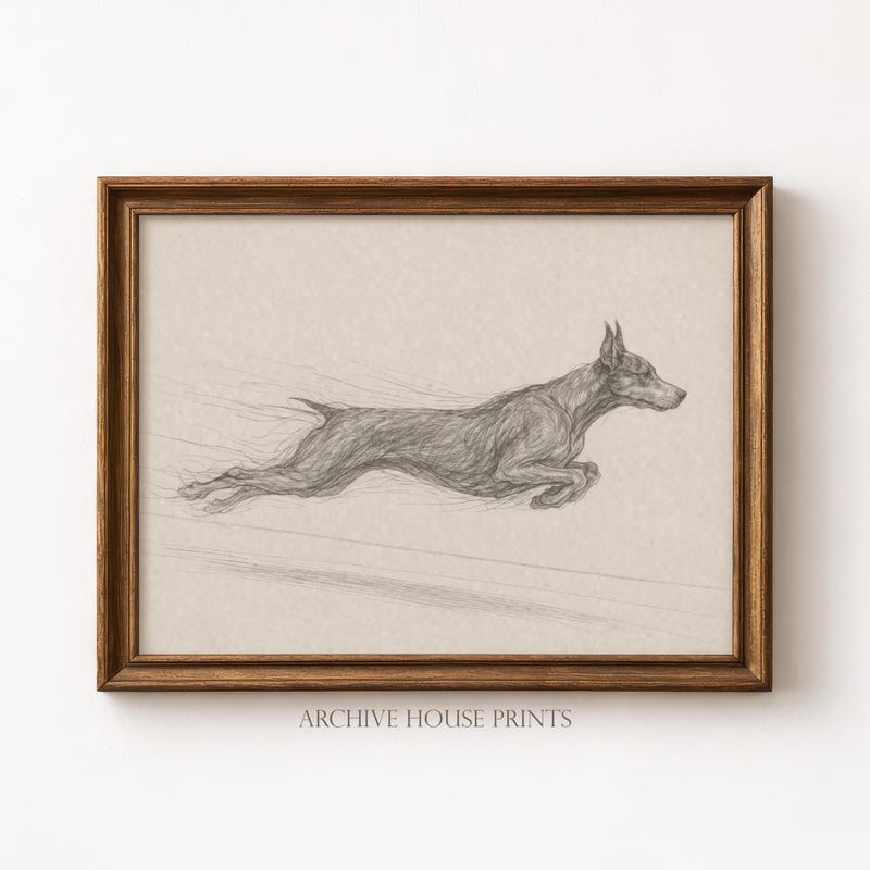 Cute Doberman Drawing - Etsy