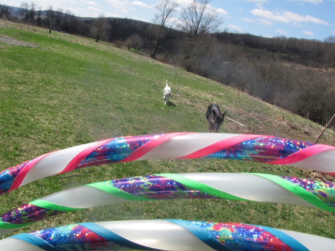 Clear Polypro OR White Hdpe Day Hoops With Spiral of Fun - Etsy