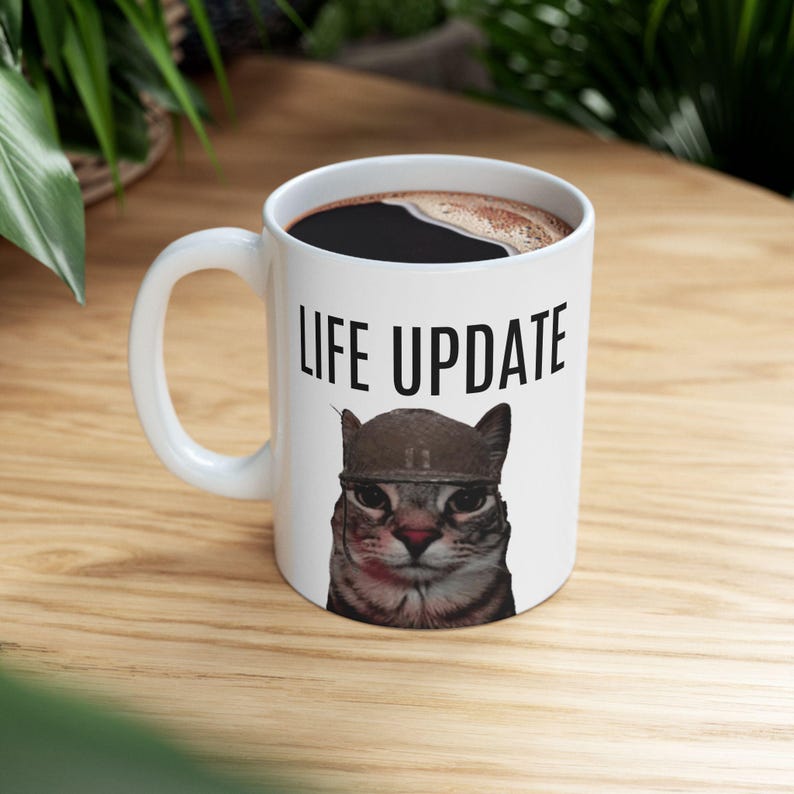 Life Update Meme Mug 1000 Yard Stare Funny Cat Face Meme Ceramic Mug ...