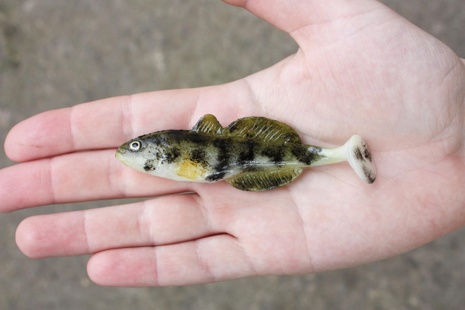 Soft Plastic Fishing Bait, 3.5" Goby - Etsy