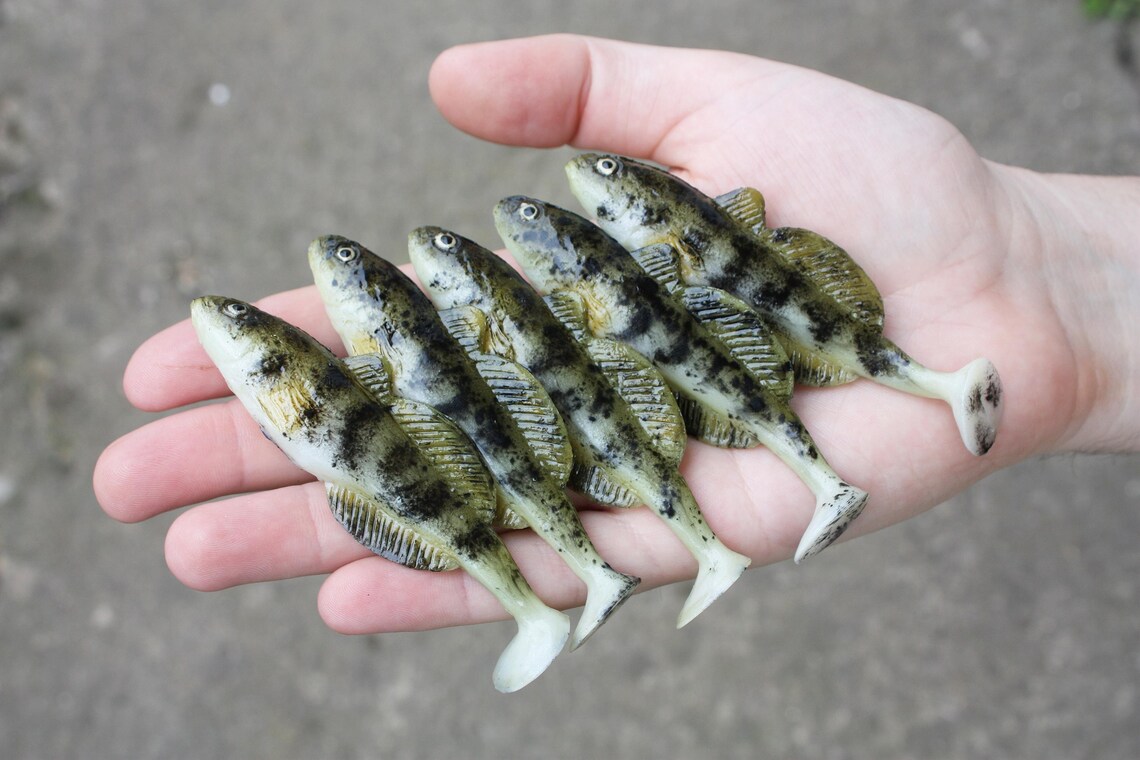 Soft Plastic Fishing Bait, 3.5" Goby - Etsy