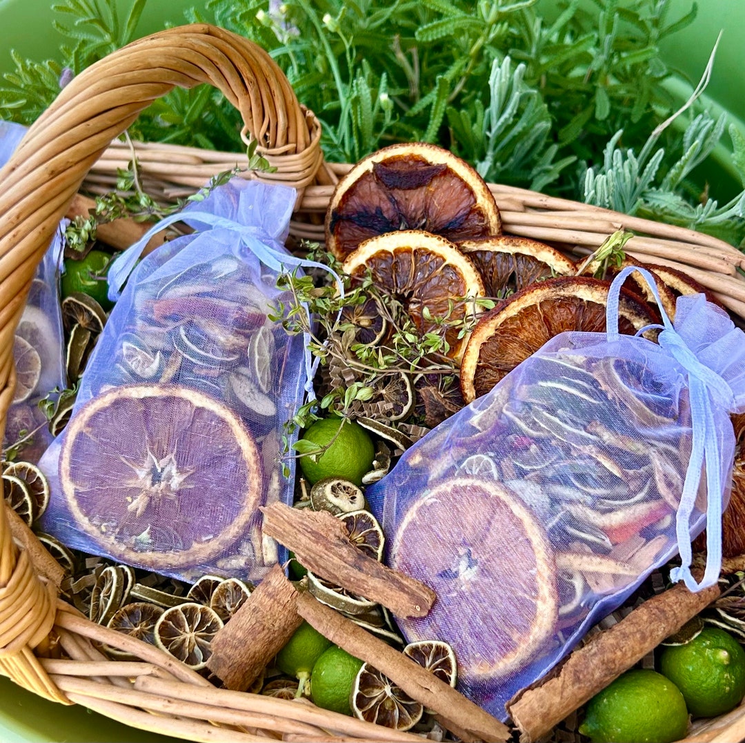 Set of 6 Summer Citrus Lemon Lime Orange Rosemary Cinnamon Sachet ...