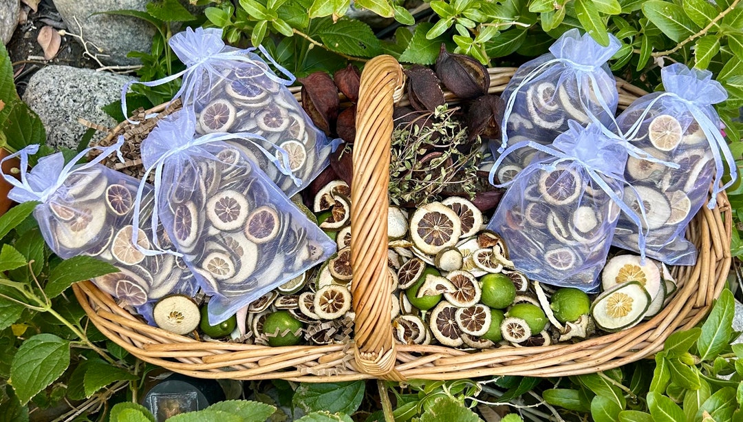 Set of 3 Dried Citrus Lime Sachet/potpourri Hand Crafted - Etsy