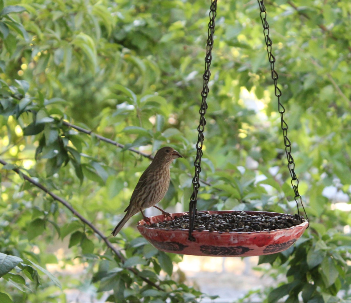 Wolf Howling at Full Moon Ceramic Bird Feeder | Etsy