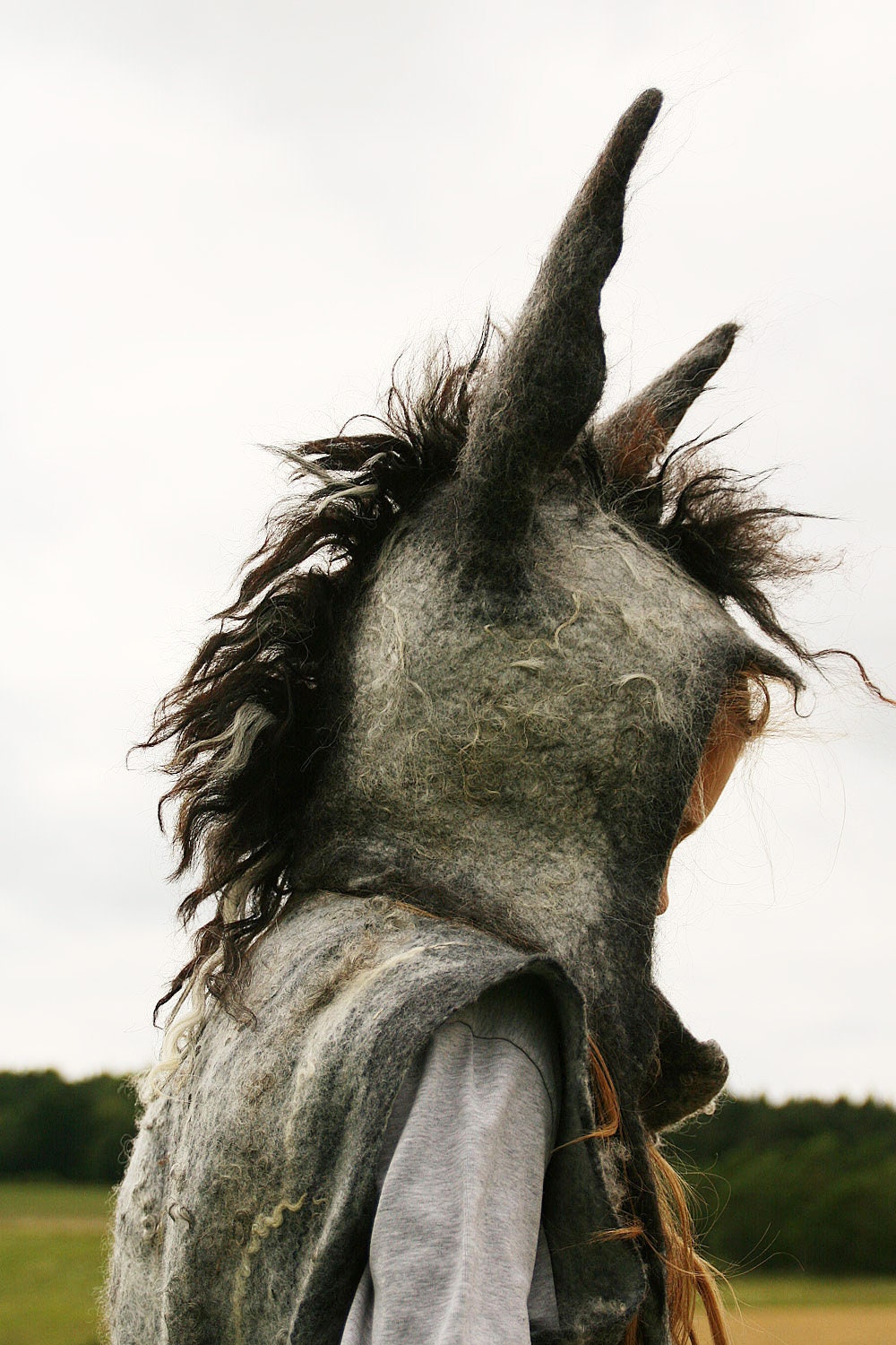 Donkey Hat Donkey Ears Felted HAT for Adult & Kids Donkey - Etsy UK