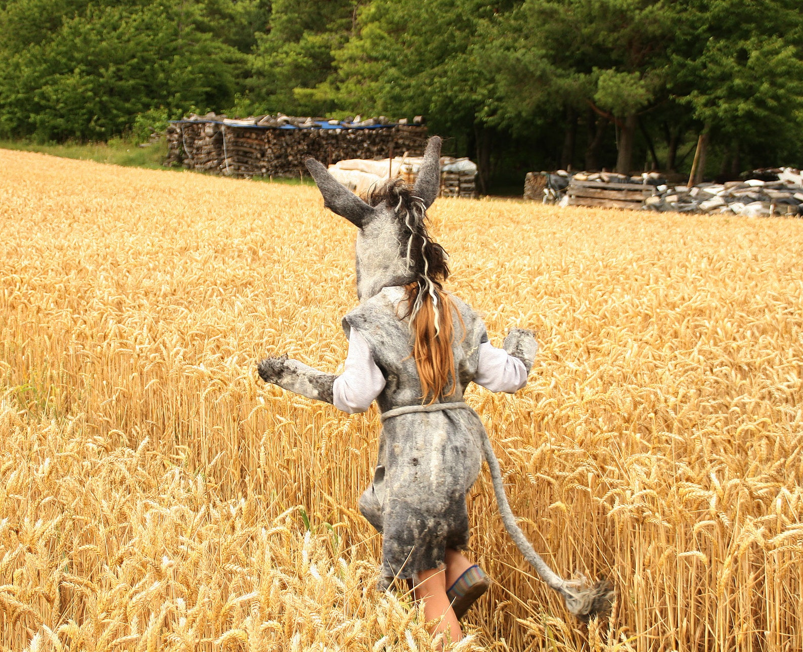 Donkey Hat Donkey Ears Felted HAT for Adult & Kids Donkey Shrek Hat ...