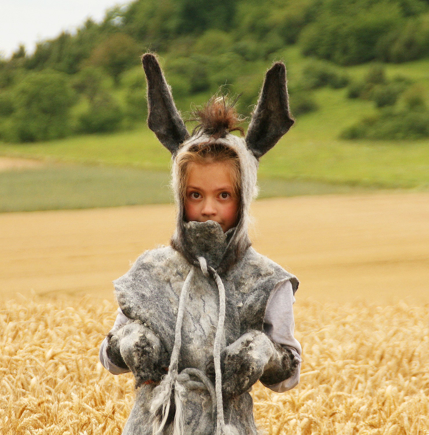 Donkey Hat Donkey Ears Felted HAT for Adult & Kids Donkey - Etsy UK