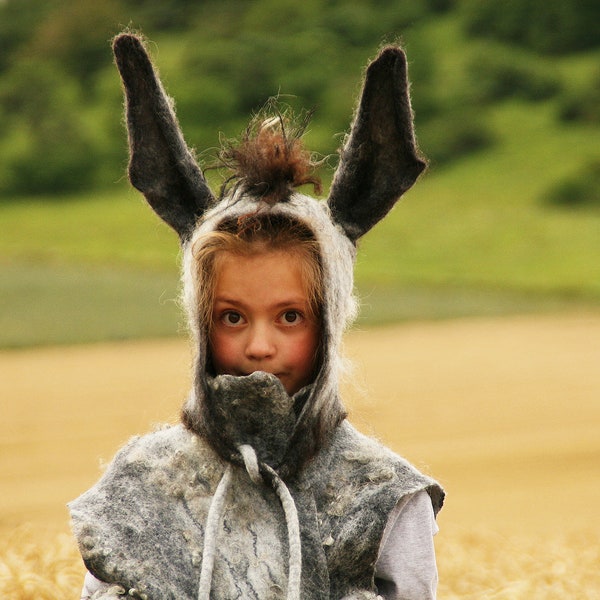 Adult Shrek Donkey Costume - Etsy