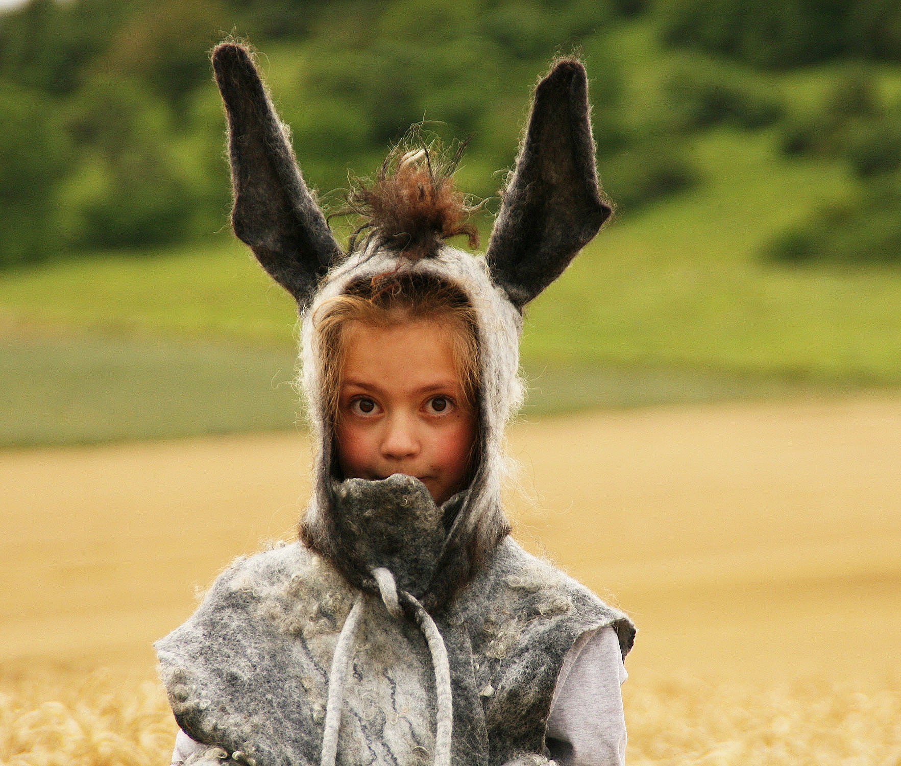 Donkey Hat Donkey Ears Felted HAT for Adult & Kids Donkey Shrek Hat ...