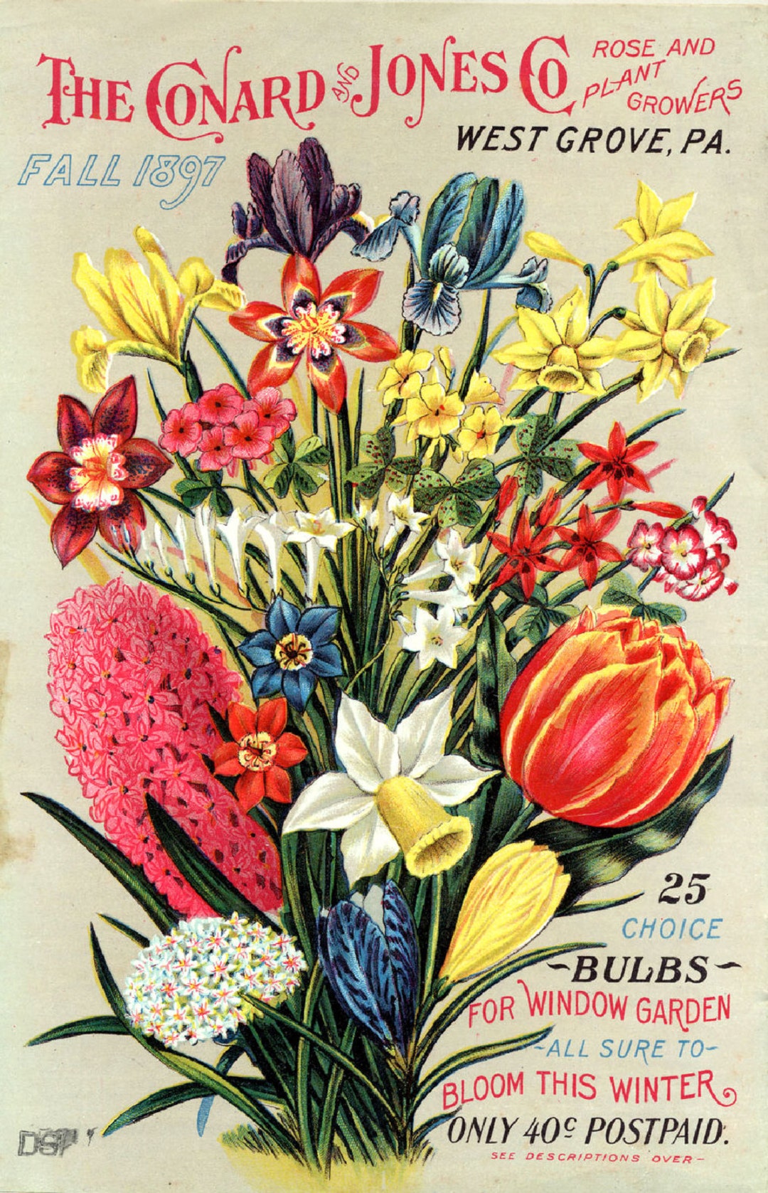 Conrad and Jones 05 1897 the Rose Growers West Grove, PA Seed Company ...
