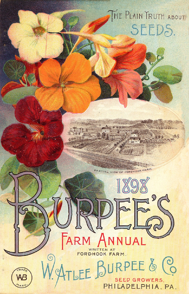 Vintage Seed Company Cover Reproduction Print! Burpee's Seeds ...