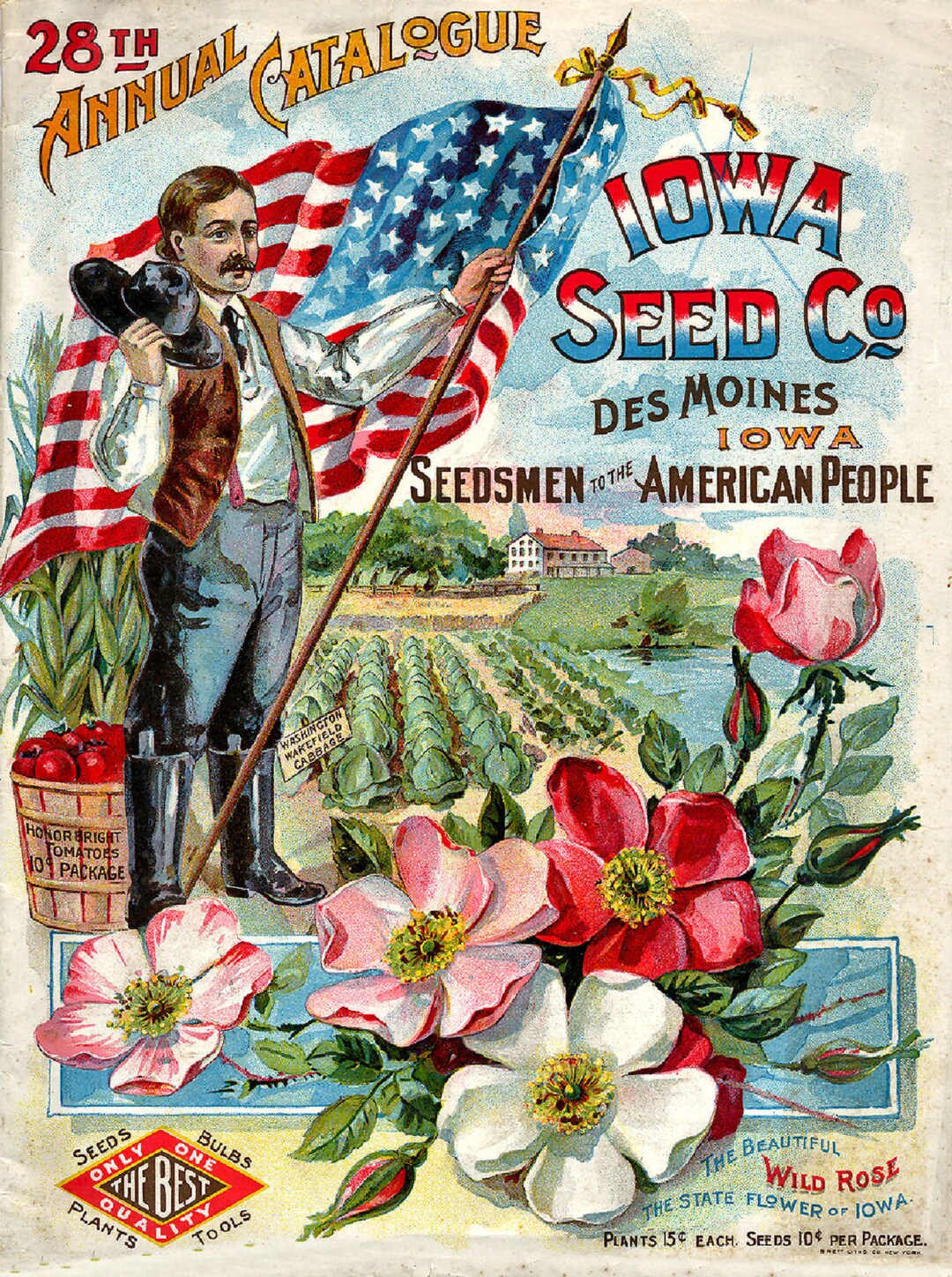 Iowa Seed Co. 02 Seed Company Bright Colorful Print Vintage ...