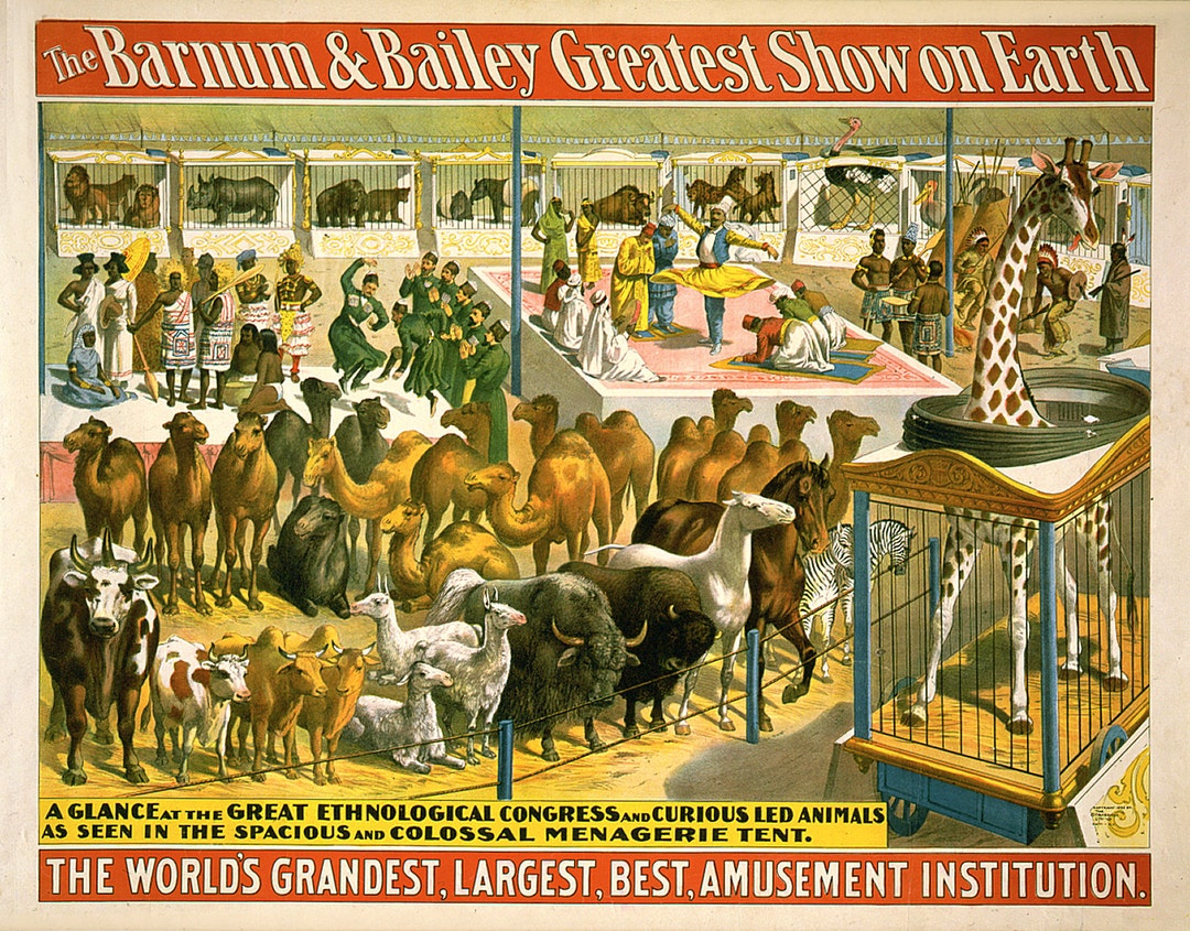 Barnum Bailey 1895d Circus Vibrant Colors 11 X 17 Reproduction Print Etsy