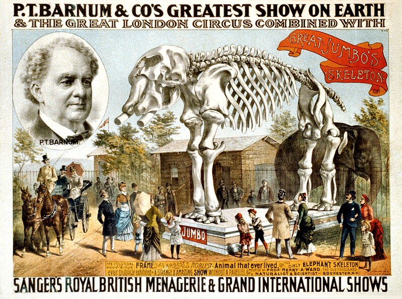 Barnum 1800s Circus Vibrant Colors 11 X 17 Reproduction Print Etsy