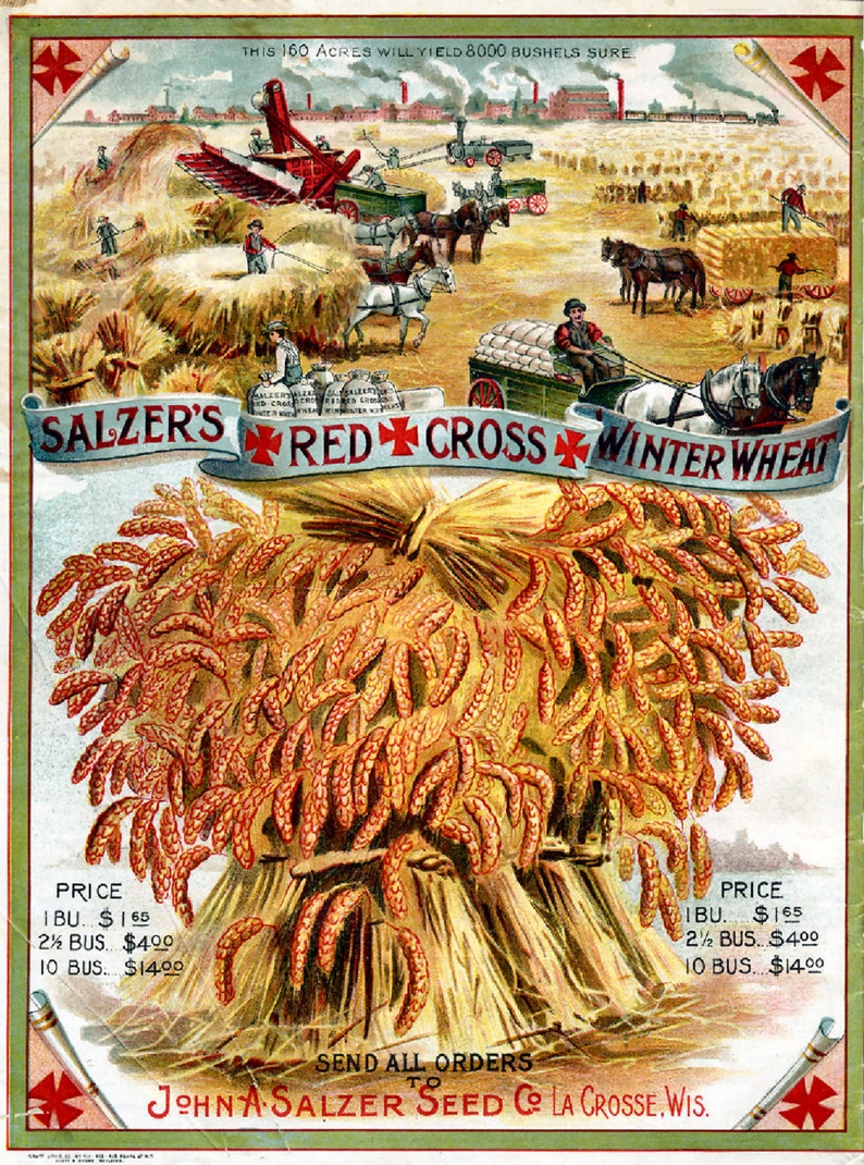 Salzar Back John A. Salzer Seed Company Bright Colorful Print Vintage ...