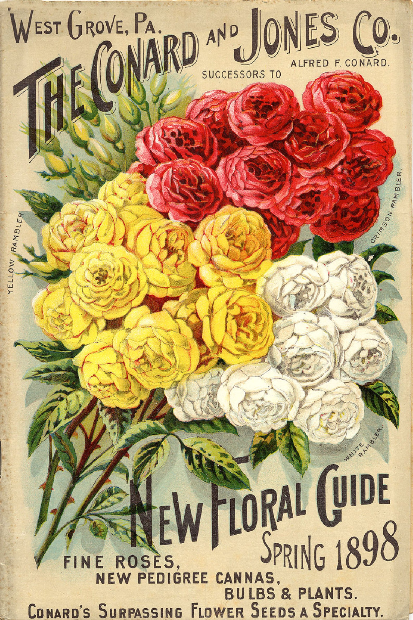 Conrad and Jones 02 West Grove, PA Seed Company Bright Colorful Print ...