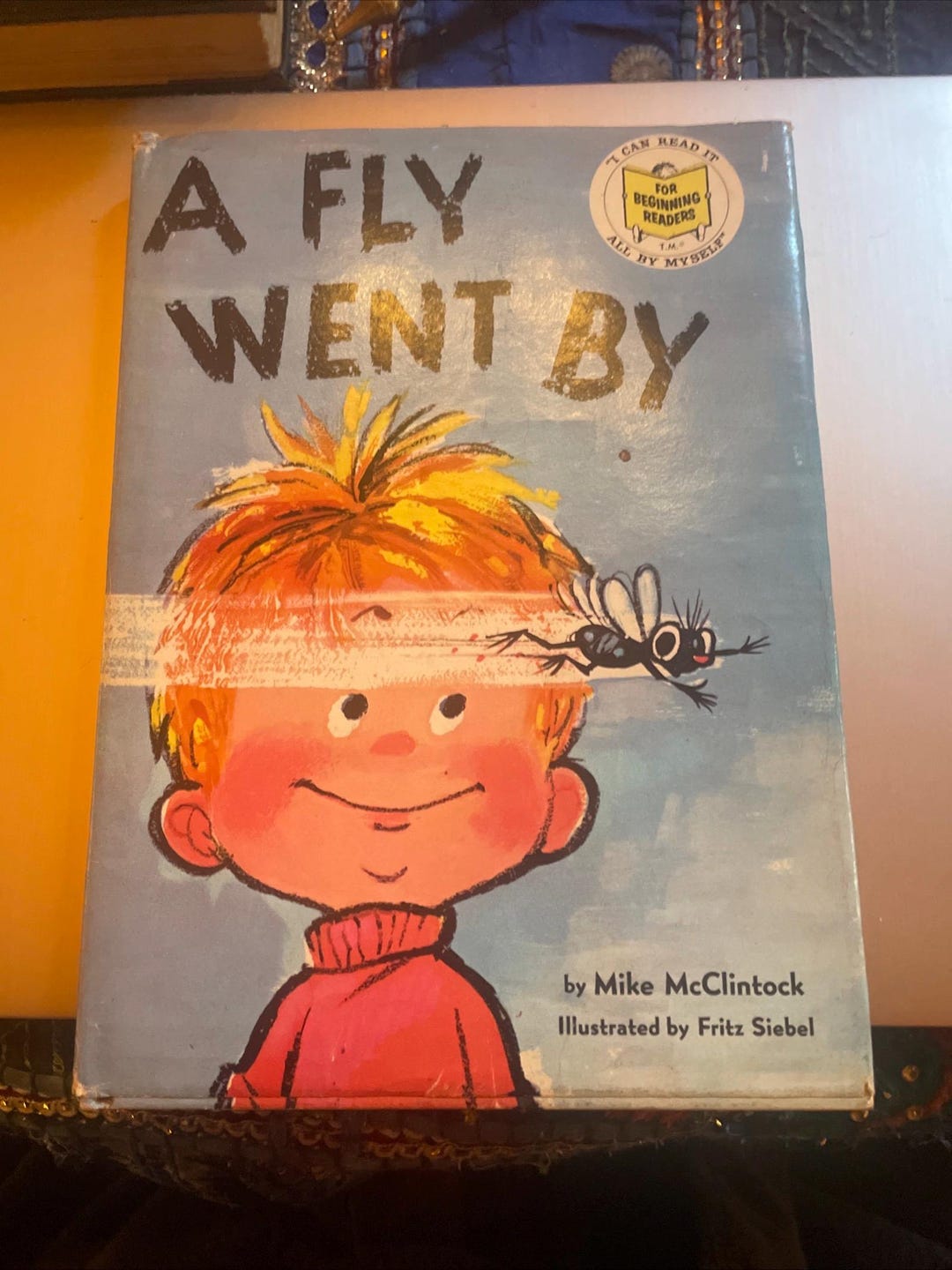 Vintage Hard Cover Childrens Book Club Edition 1958 “A Fly Went By” 1st ...