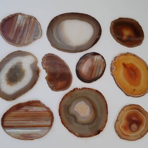 Lot of Ten 3.5" to 6" Polished Natural Geode Slices | Amber / Earth ...