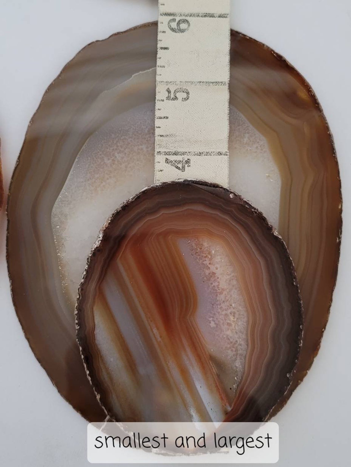 Lot of Ten 3.5 to 6 Polished Natural Geode Slices - Etsy