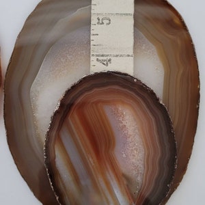 Lot of Ten 3.5" to 6" Polished Natural Geode Slices | Amber / Earth ...