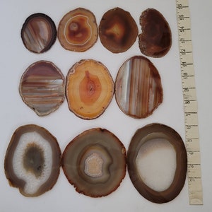 Lot of Ten 3.5" to 6" Polished Natural Geode Slices | Amber / Earth ...