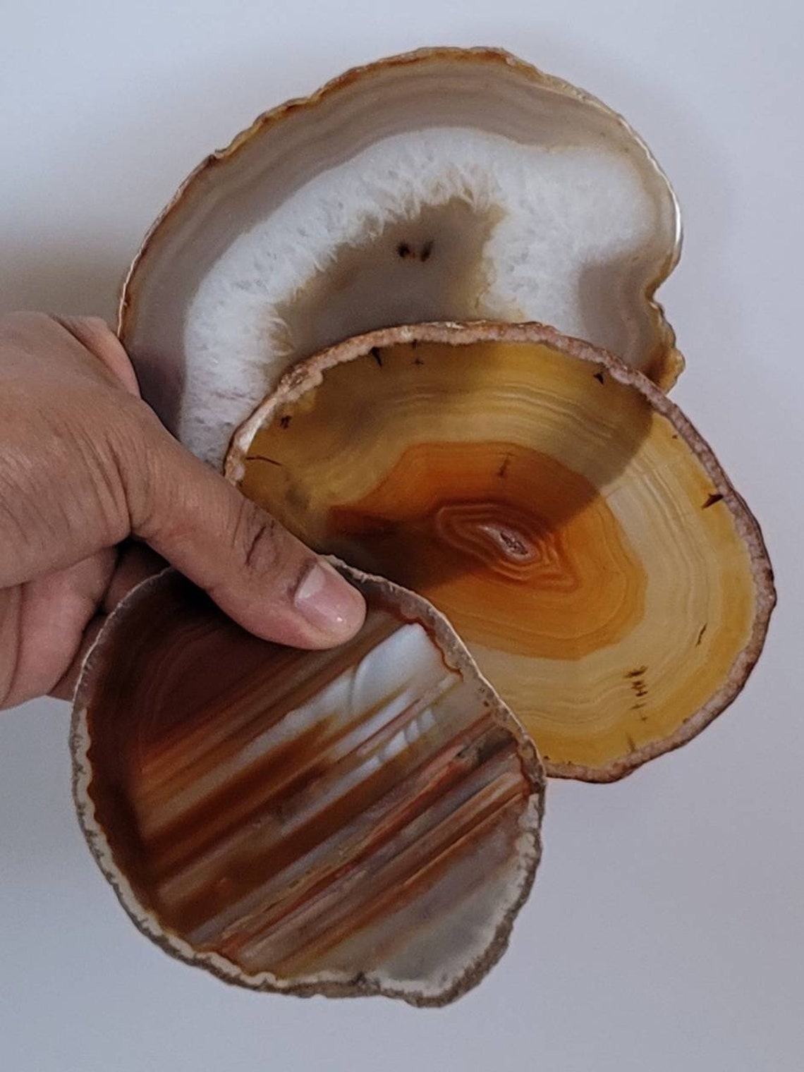 Lot of Ten 3.5 to 6 Polished Natural Geode Slices - Etsy