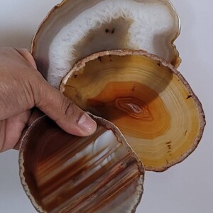 Lot of Ten 3.5" to 6" Polished Natural Geode Slices | Amber / Earth ...