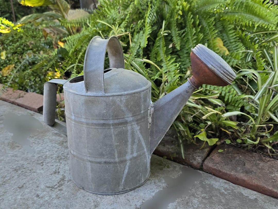 Vintage Galvanized Metal One Gallon Watering Can With Rusty Watering ...