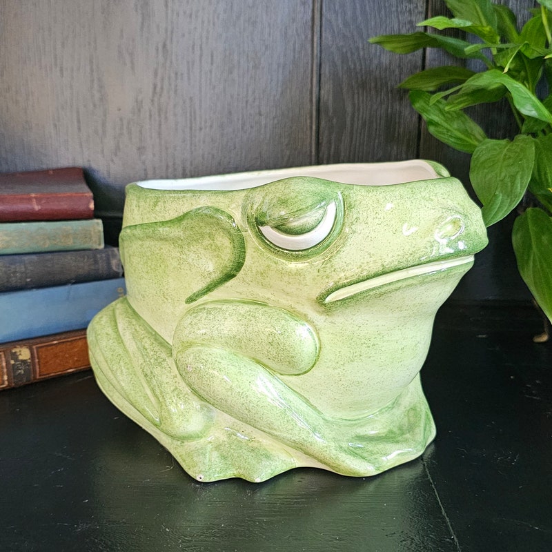 Frog Planter - Etsy
