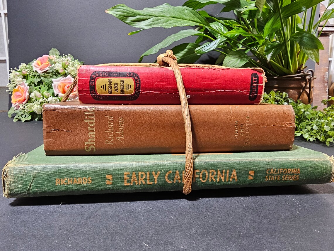 Vintage Book Bundle Table Decor | Rope Bound Books Shelf Decor - Etsy
