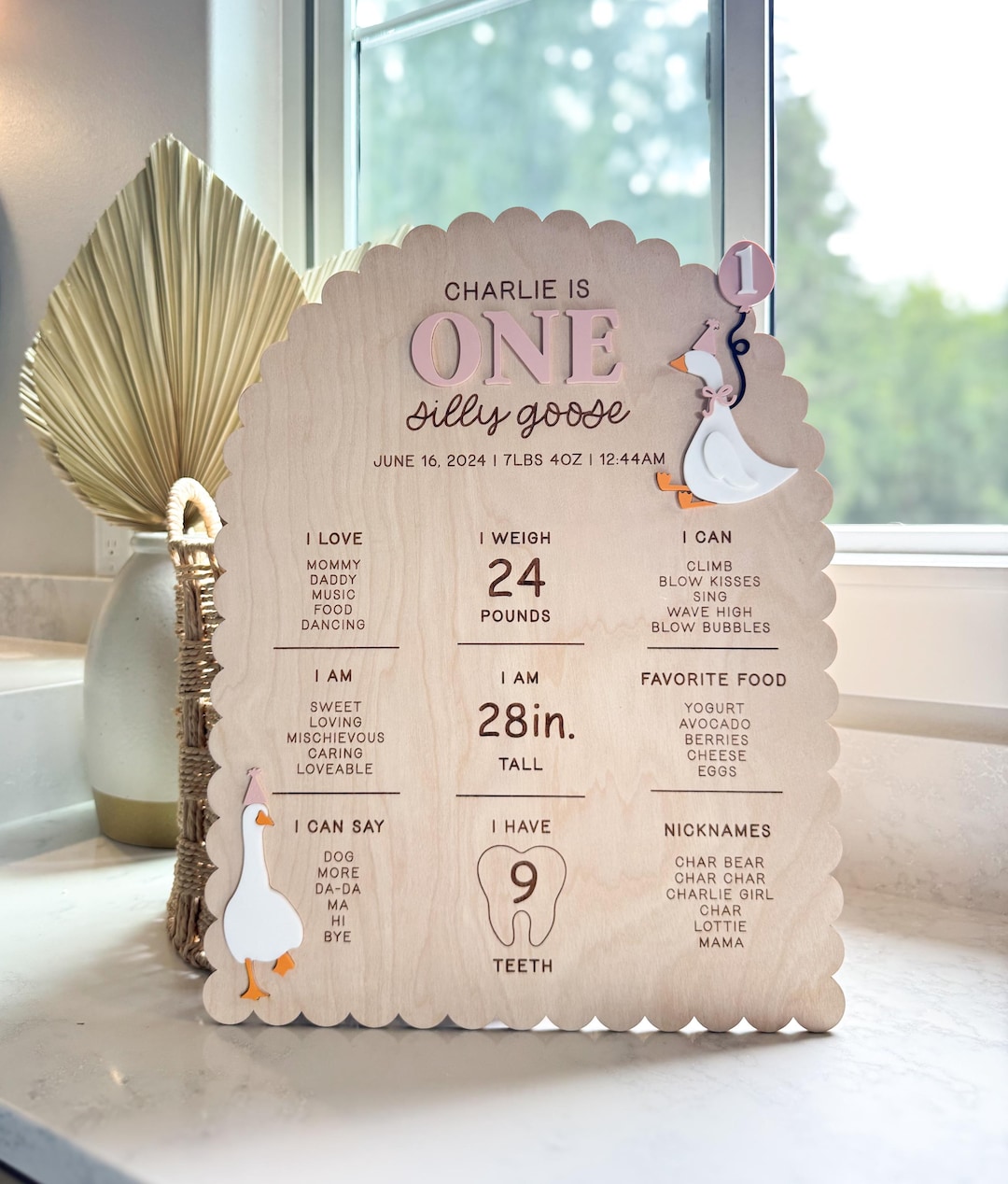 Personalized Silly Goose Milestone Board: First Birthday Photo Prop - Etsy