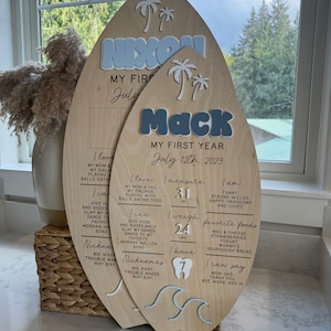 1st Wave, Big One Birthday, One Year Of, 12 Months Of, Photography Prop ...