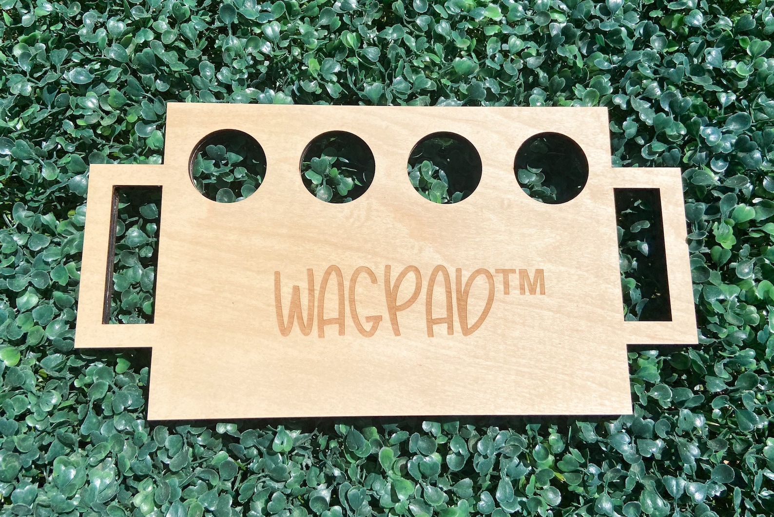 Fireball Shot Flight Tray Fireball Shots Taco Tuesday | Etsy