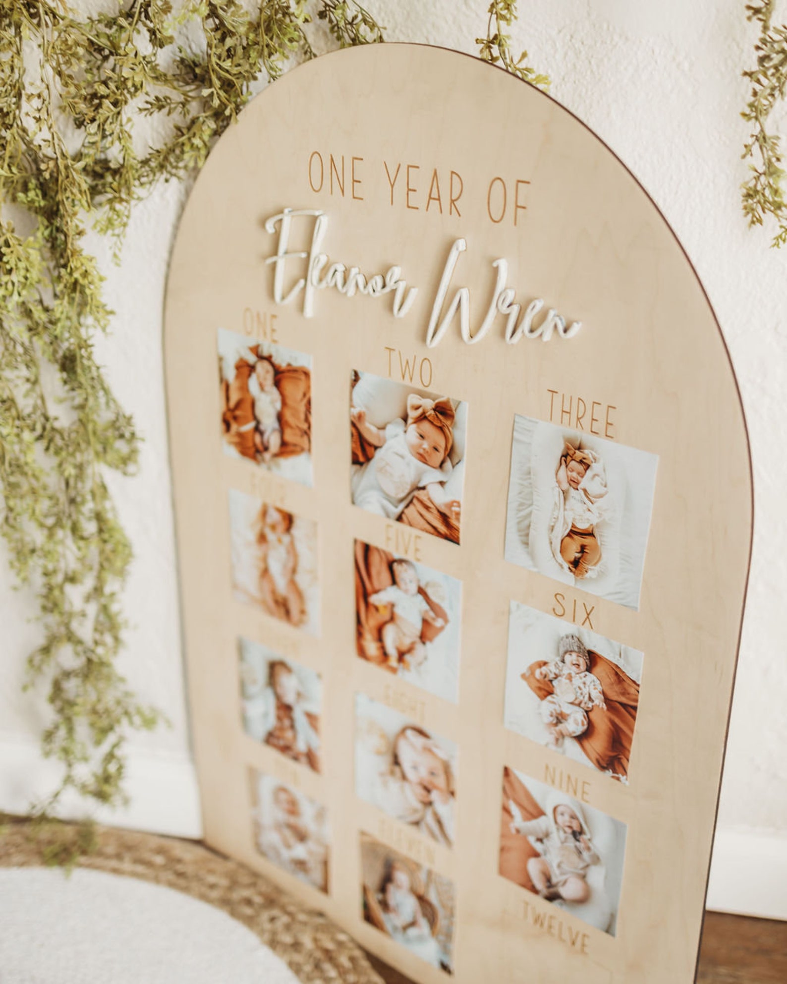 One Year Of 12 Months Of Photography Prop Babies 1st - Etsy