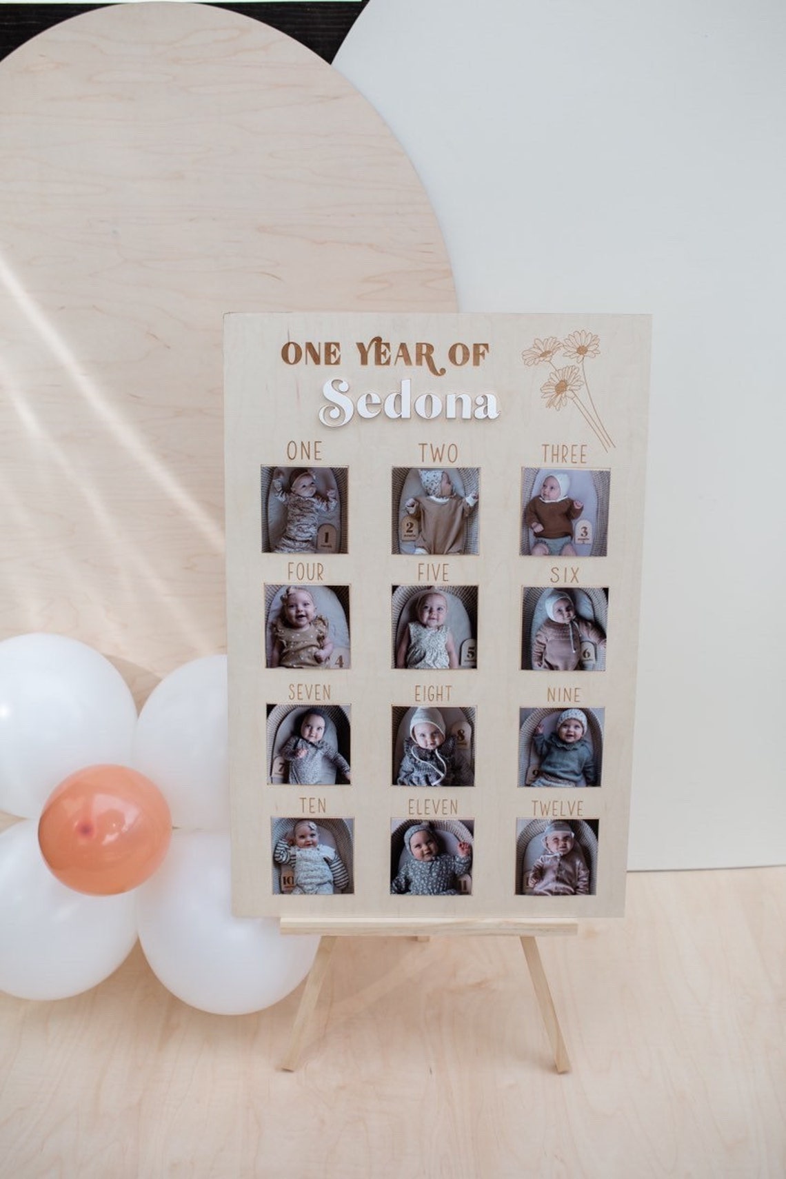 One Year of Board 12 Months Of Daisy One Year Board - Etsy