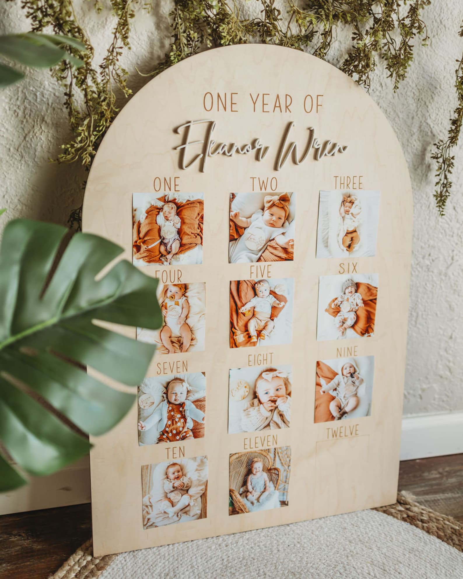 One Year Of 12 Months Of Photography Prop Babies 1st | Etsy
