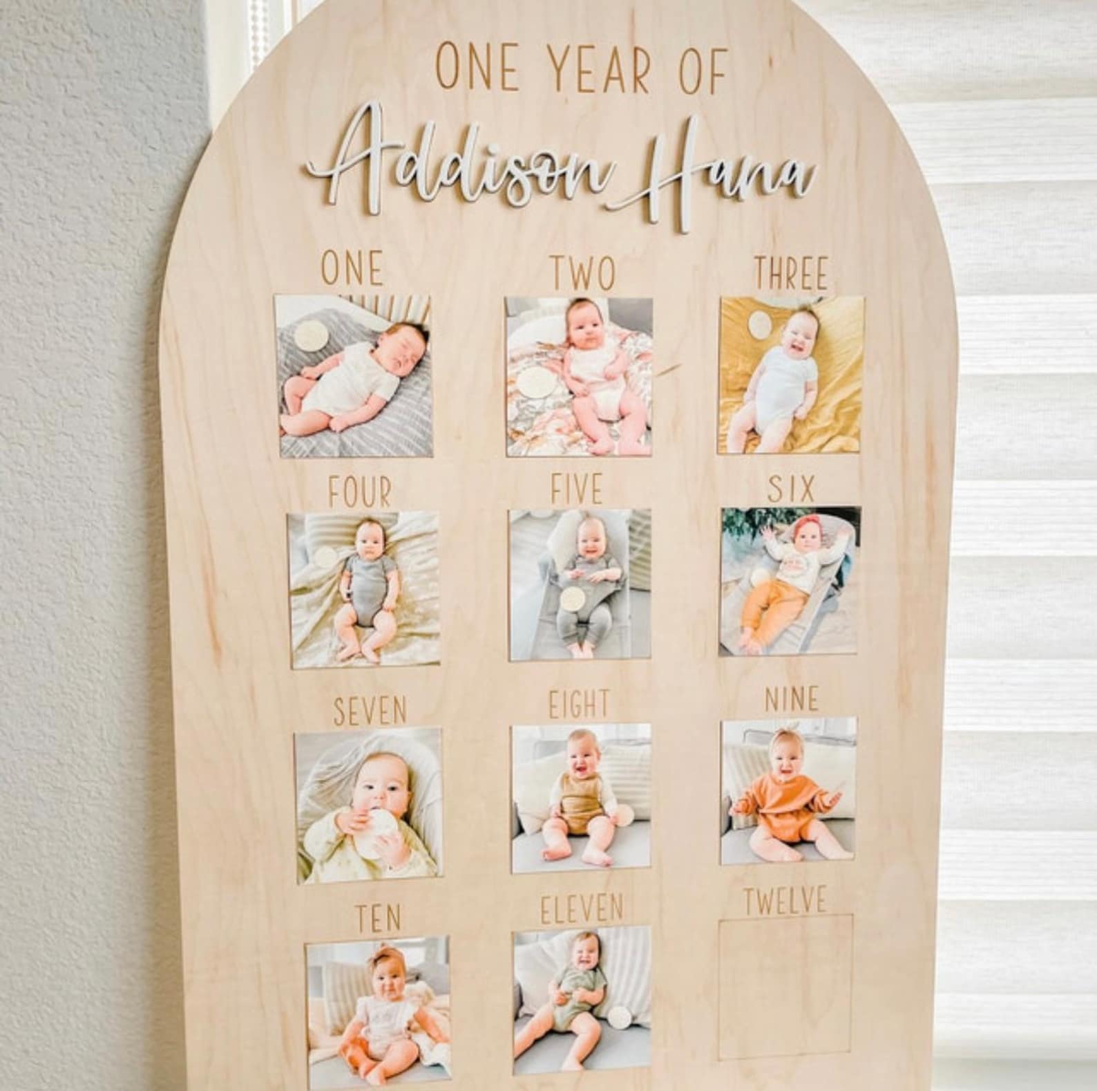 One Year Of 12 Months Of Photography Prop Babies 1st - Etsy
