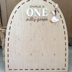 Personalized Silly Goose Milestone Board: First Birthday Photo Prop - Etsy