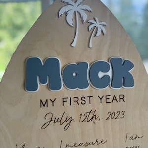 1st Wave, Big One Birthday, One Year Of, 12 Months Of, Photography Prop ...