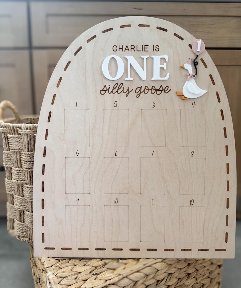 Personalized Silly Goose Milestone Board: First Birthday Photo Prop - Etsy