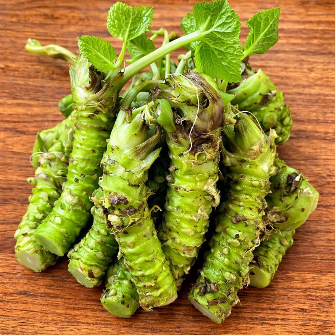 Japanese Wasabi Seeds – Rare Wasabia Japonica Herb Plant (5 Seeds) - Etsy