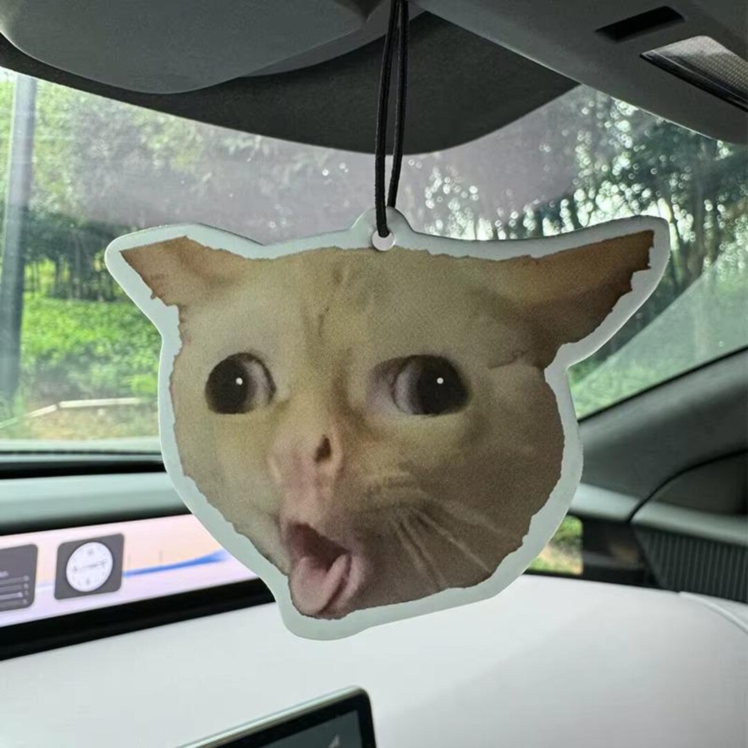 Funny Cat Meme Car Air Freshener | Joke Gift | Secret Santa Present ...