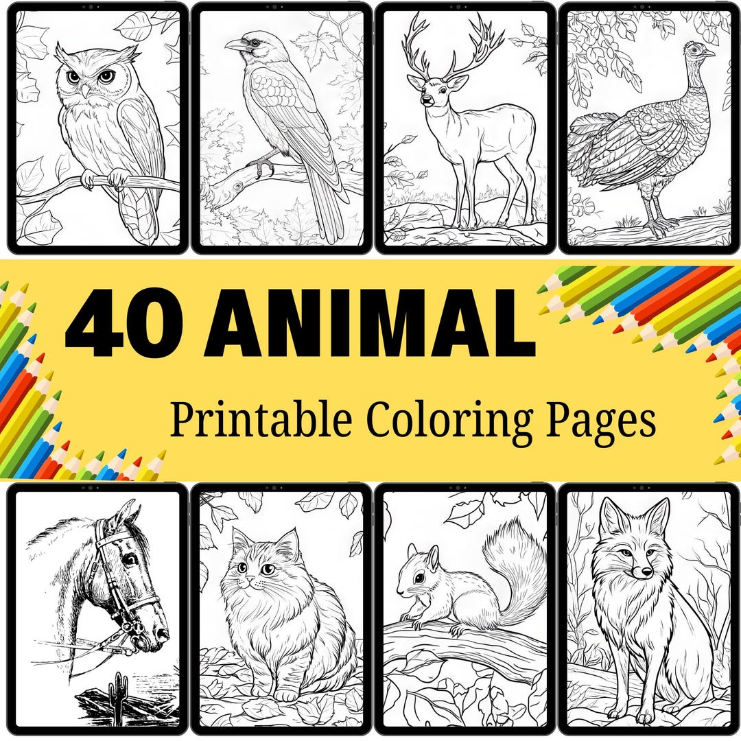 Animal Coloring Book | 40 Fun Kids Pages (printable PDF) - Etsy