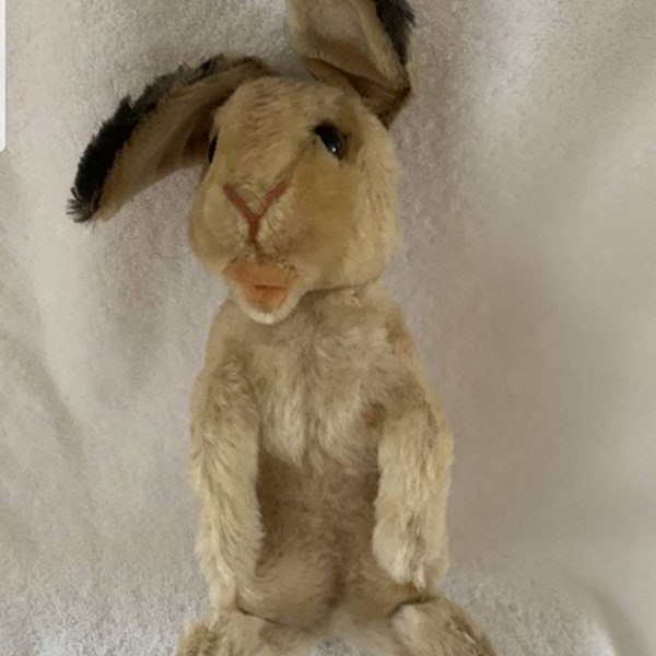 Steiff Bunny - Etsy