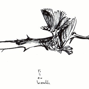 Plant Drawing: Bramble - Etsy