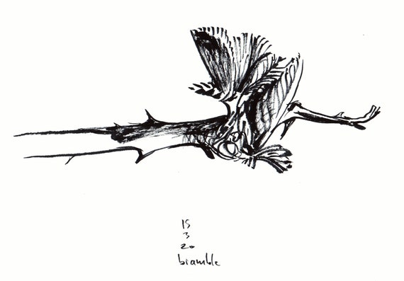 Plant Drawing: Bramble | Etsy