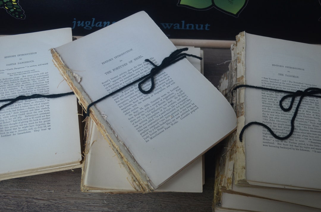 150 Pages From Antique Book. Antique Paper, 1893. Limited Edition Books ...